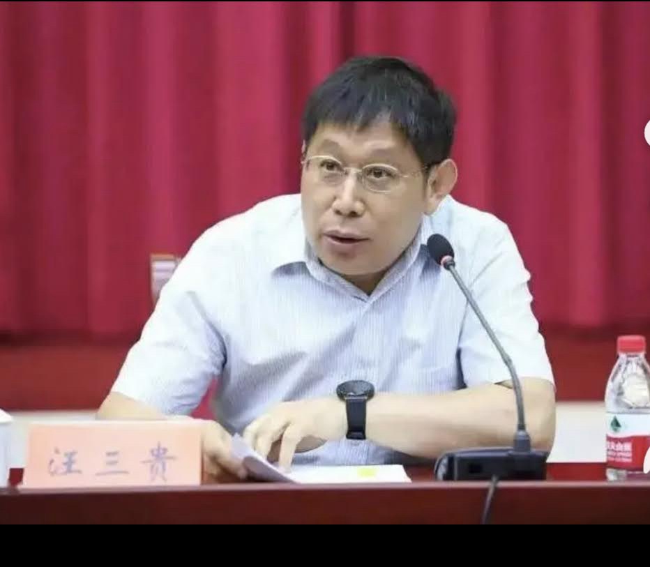 Professor Wang Lauds China’s Remarkable Achievement in Poverty ...