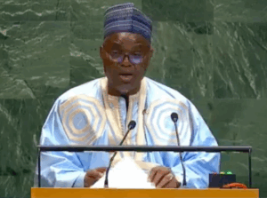 VP Jallow Assures UN Of Gambia’s Commitment To Credible 2026 Elections ...