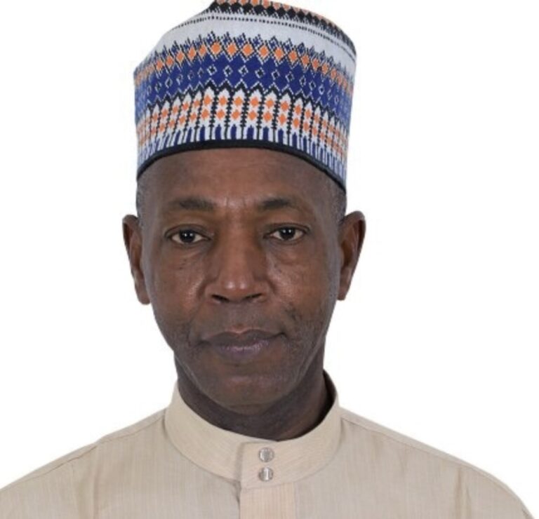 Minister Bah Raises Concerns Over Delayed Justice as New Paramount ...